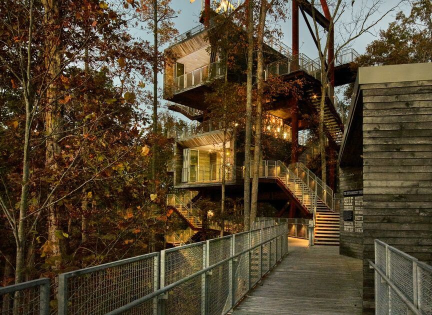 The Great Treehouse War – Primary Source Pairings