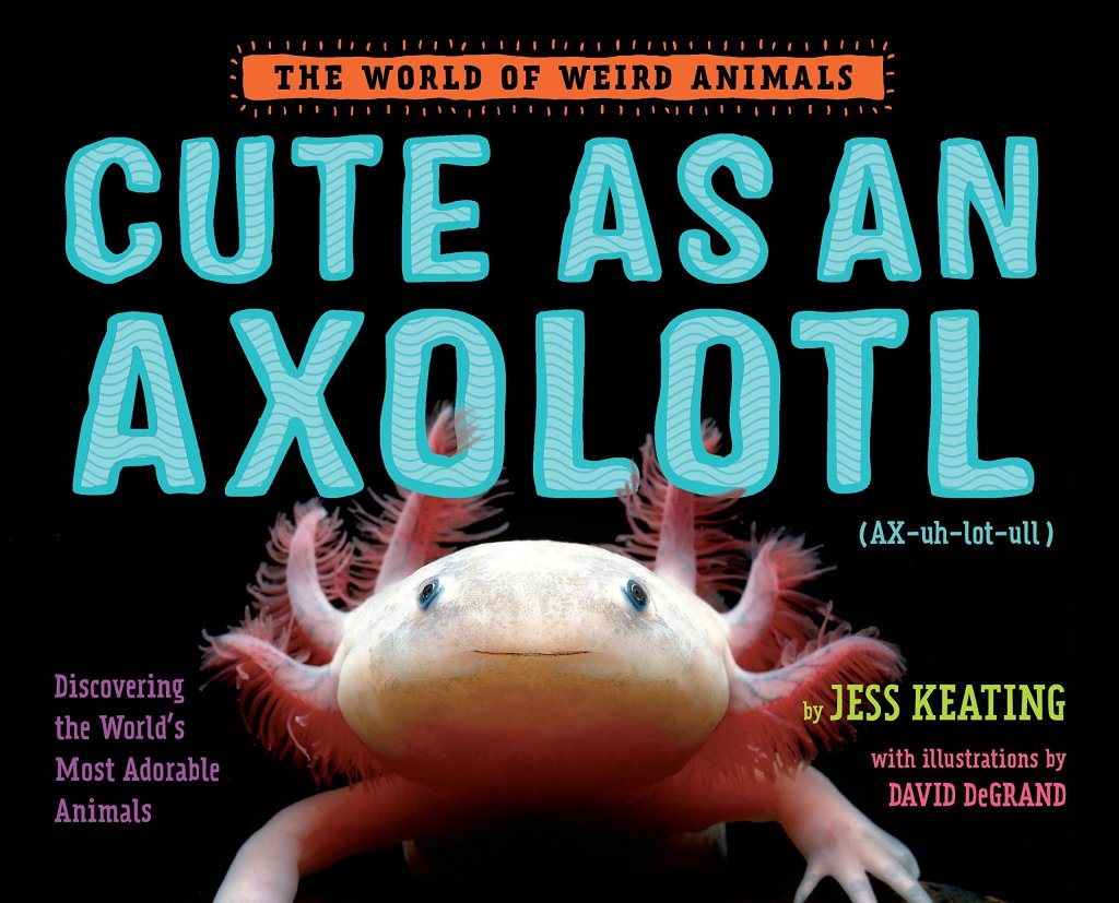 Cute as an Axolotl – Primary Source Pairings